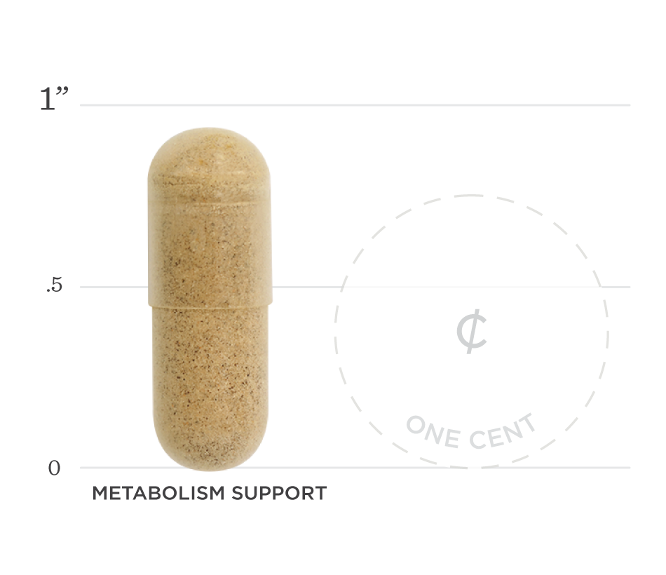 Metabolism Support | B-vitamins and Enzymes | Persona Nutrition